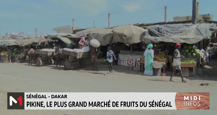 Pikine, le plus grand marché des fruits du Sénégal